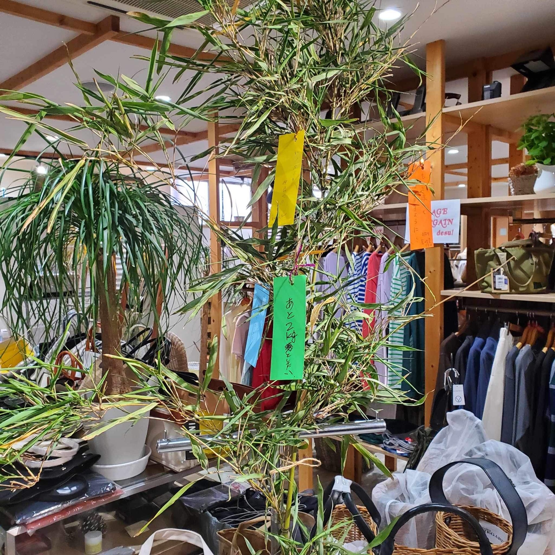 七夕まつり: VILLAGE＆CO 店主ブログ